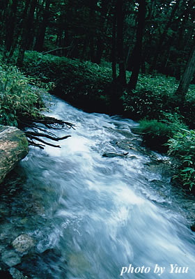 No.2561: Yuu写真館 新館